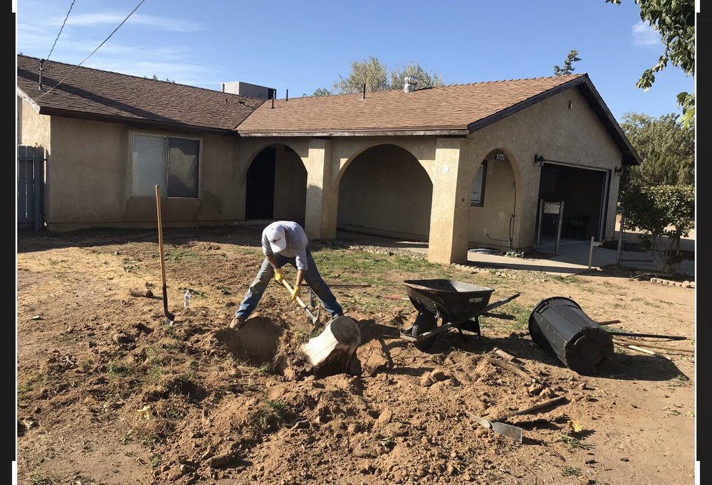 REYNOLDS GARDENING & LANDSCAPING - Updated April 2026 - 29 Photos ...