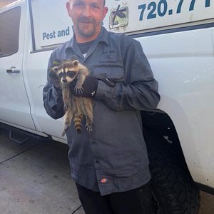 ANCHOR PEST CONTROL SERVICE - Updated October 2025 - 27 Reviews ...