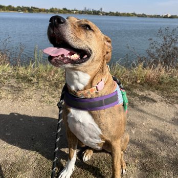 SLOAN’S LAKE PARK - Updated December 2025 - 241 Photos & 122 Reviews ...