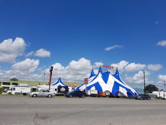 DELMAN CIRCUS - Updated October 2025 - 800 Maxey Rd, Houston, Texas ...