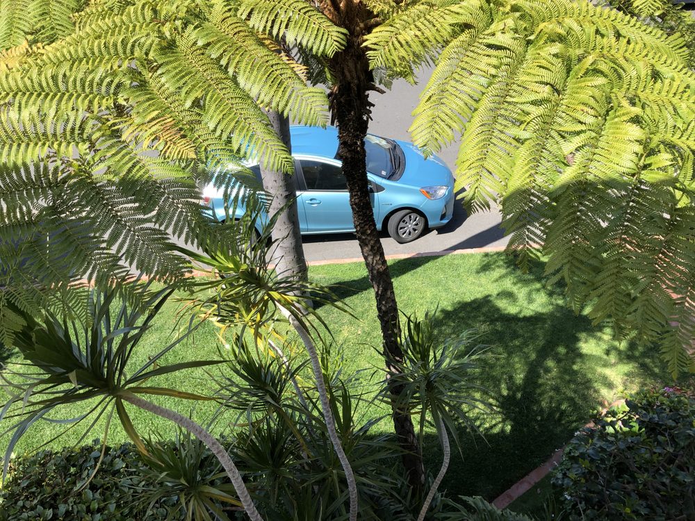 LUNA AUTO TRANSPORT LOGISTICS - Updated August 2025 - 28 Photos & 29 ...