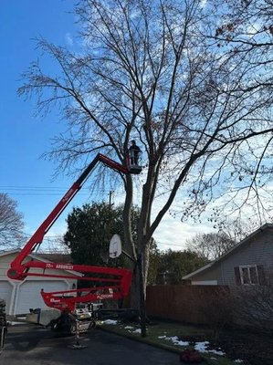 RICHARD STEWART TREE AND STUMP SERVICE - Updated July 2025 - Victor ...