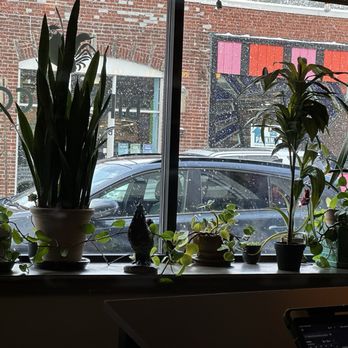 BIRD & CO - Updated January 2026 - 374 Photos & 285 Reviews - 539 ...