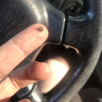 MCDONALD’S - Updated October 2025 - 60 Photos & 60 Reviews - 7950 ...