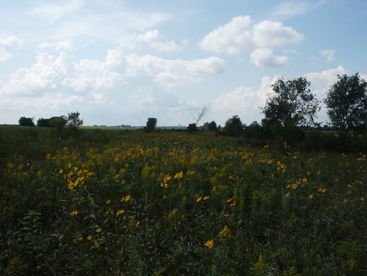 GATEWAY STATE TRAIL - Updated December 2025 - 10 Photos - E Cayuga St ...