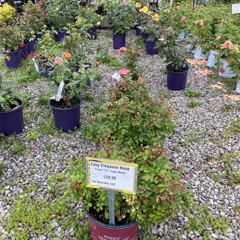 RIGHTWAY GARDEN CENTER - Updated October 2025 - 36 Photos & 12 Reviews ...