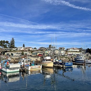 MORRO BAY T PIER SEA OTTER VIEWING AREA - Updated October 2025 - 41 ...