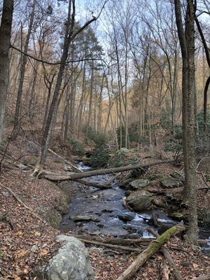 WORTHINGTON STATE FOREST - 168 Photos & 41 Reviews - 2 Old Mine Rd ...