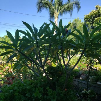 CITY OF RIVERSIDE - Updated January 2026 - 418 Photos & 38 Reviews ...