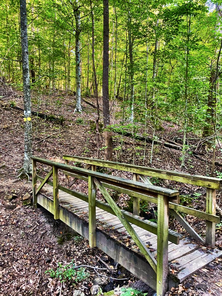 ENO QUARRY - Updated October 2024 - 44 Photos - 4955 Howe St, Durham ...