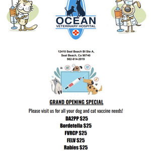 CERRITOS ANIMAL HOSPITAL - Updated February 2025 - 31 Photos & 16 ...