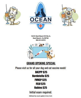 OCEAN VETERINARY HOSPITAL - Updated January 2026 - 46 Photos & 43 ...