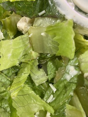 APPLE SPICE JUNCTION - Updated September 2024 - 21 Photos & 30 Reviews ...