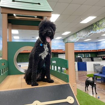 BARK DOG PARK - Updated January 2026 - 15 Reviews - 1700 McHenry Ave ...