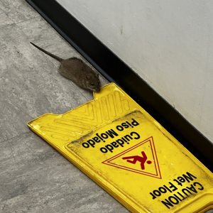 STELLAR MANAGEMENT COMPANY - Updated June 2025 - 11 Photos & 83 Reviews ...