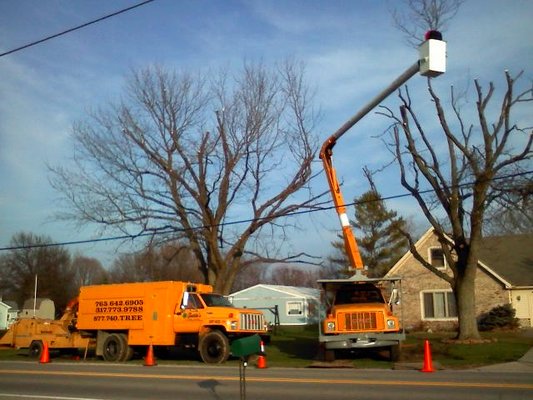 TUTTLE’S TREE SERVICES - Updated August 2025 - 12 Photos - 5415 S 100 W ...