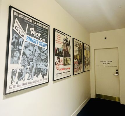 VIDIOTS - Updated May 2026 - 135 Photos & 152 Reviews - 4884 Eagle Rock ...