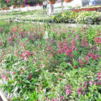 FLOWER POWER FARM - Updated December 2025 - 57 Photos & 19 Reviews ...