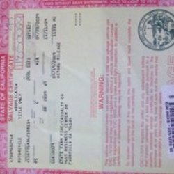 ILLINOIS LICENSED REBUILDERS FOR SALVAGE TITLE - 29 Photos - Body Shops ...