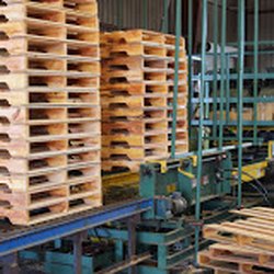 ALL GOOD PALLETS - 34 Photos & 12 Reviews - 6756 Central Ave, Newark ...