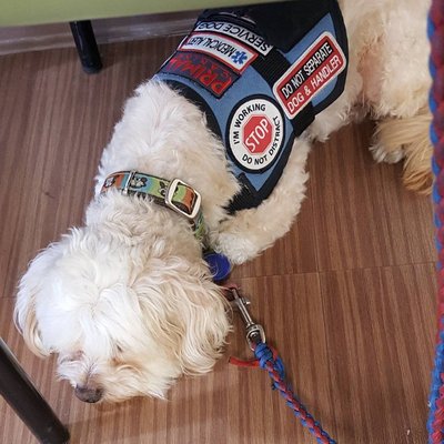 MONTEREY BAY GI CONSULTANTS MEDICAL GROUP - Updated January 2026 - 24 ...