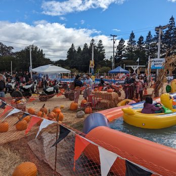 QUEENS PUMPKIN PATCH - TEMP. CLOSED - Updated April 2025 - 231 Photos ...