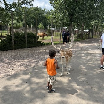 WISCONSIN DEER PARK - Updated August 2025 - 272 Photos & 141 Reviews ...