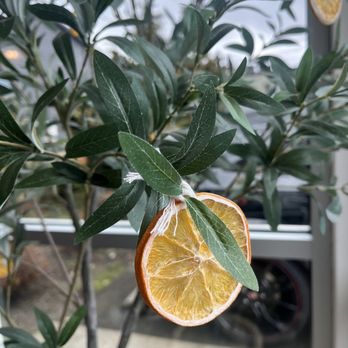 THE FLOUR BOX - Updated July 2024 - 1459 Photos & 508 Reviews - 5520 ...