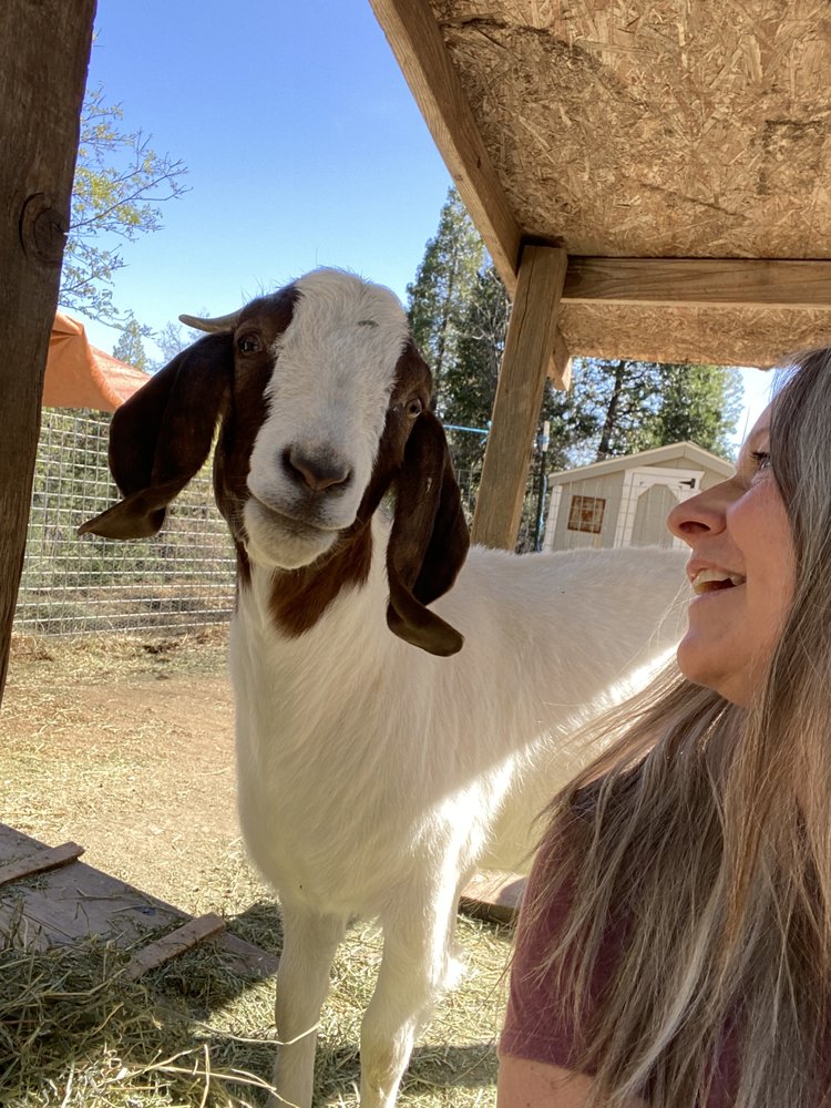 JAMIE BLACKETOR RAFFERTY, A HOUSECLEANING SERVICE - Updated February ...