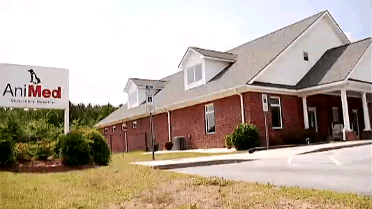 ANIMED VETERINARY HOSPITAL - Updated September 2024 - 40 Photos & 28 ...