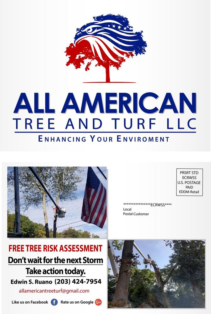 ALL AMERICAN TREE & TURF - Updated August 2025 - 26 Betts Ave, Stamford ...