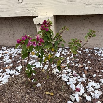 MOON VALLEY NURSERIES ARCADIA - Updated April 2025 - 180 Photos & 129 Reviews - 1828 N 52nd St ...