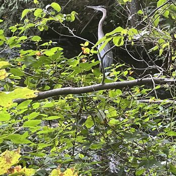 VALLEY FALLS PARK - Updated January 2026 - 120 Photos & 33 Reviews ...