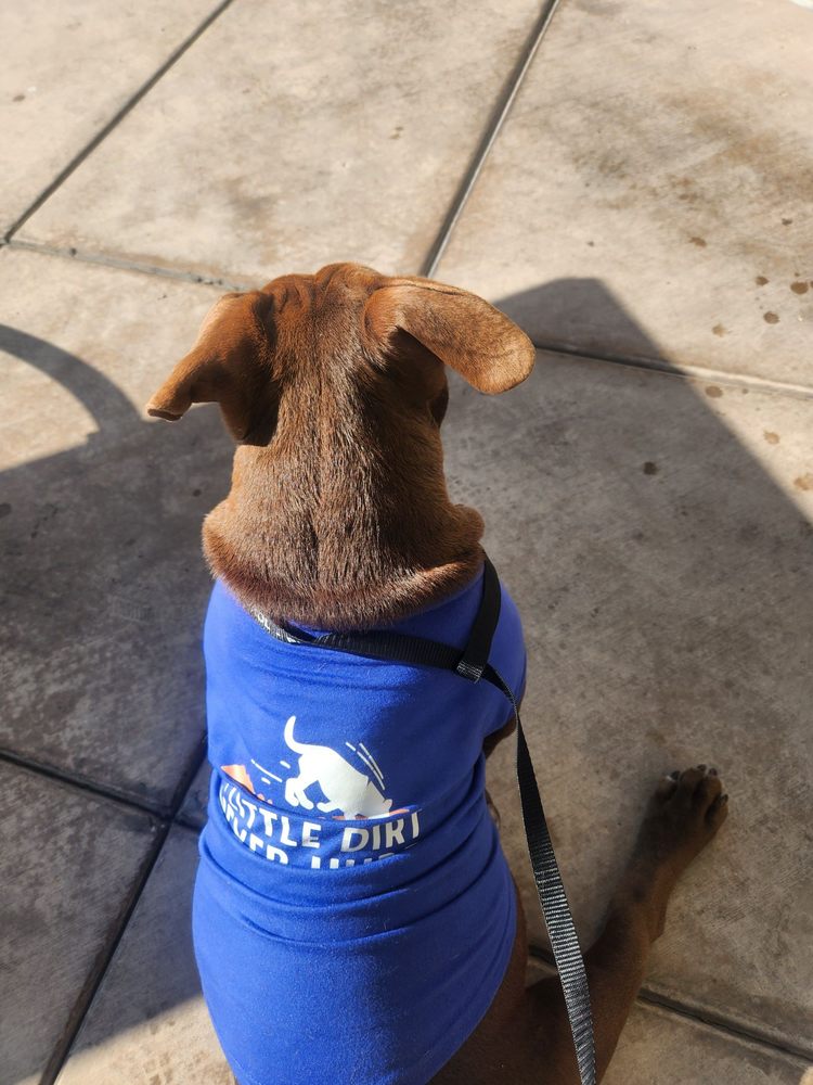 DOWNEY ANIMAL CARE CENTER - Updated May 2024 - 295 Photos & 278 Reviews ...