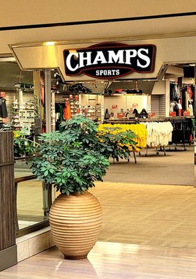 CHAMPS SPORTS - Updated December 2025 - 11 Photos & 30 Reviews - 105 ...