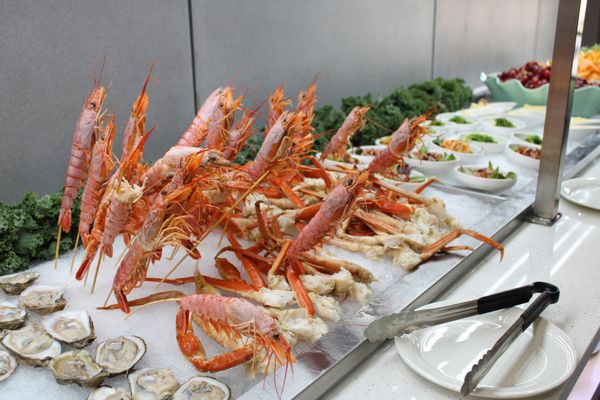 UMI HOT POT SUSHI & SEAFOOD BUFFET - Updated October 2025 - 117 Photos & 53 Reviews - 360 Rte ...