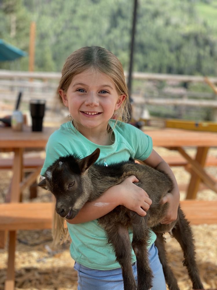 VAIL STABLES - Updated June 2024 - 196 Photos & 128 Reviews - 915A ...