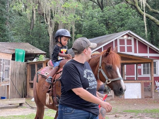 HAPPY ACRES RANCH - Updated September 2025 - 45 Photos & 29 Reviews ...