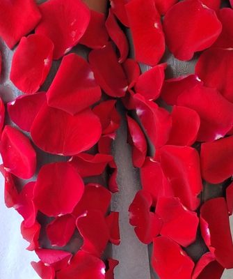 CHACHA FEET - Updated July 2025 - 17 Photos & 11 Reviews - 14917 Ambaum ...