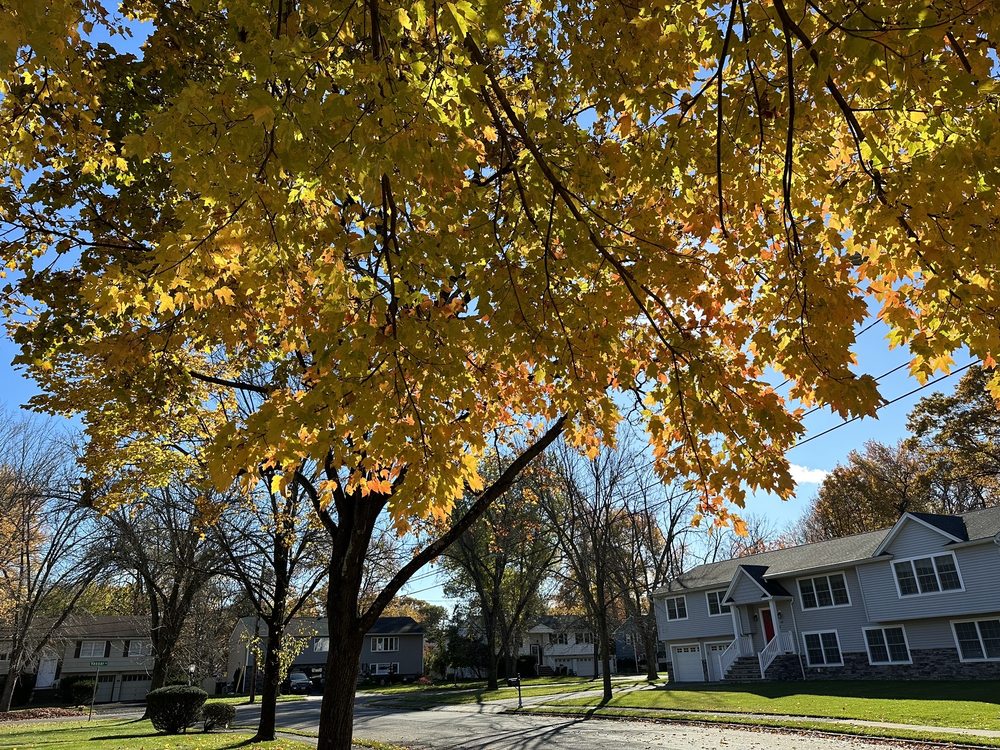 MCELLEN PARK - Updated May 2025 - 73 Heather Ln, Paramus, New Jersey ...