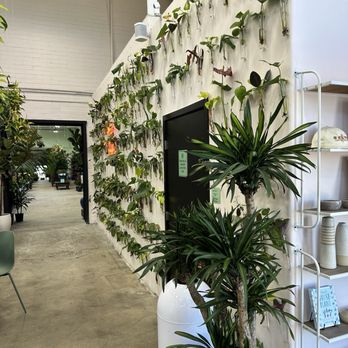 SELVA COFFEE HOUSE - Updated July 2024 - 539 Photos & 167 Reviews ...