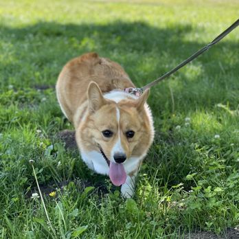 CATALDI PARK - Updated October 2025 - 240 Photos & 116 Reviews - 2900 ...