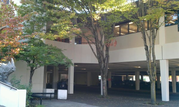 SPRINGFIELD PUBLIC LIBRARY - Updated January 2026 - 225 5th St ...