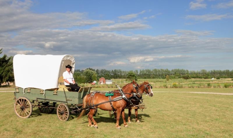 CHARLIE’S PRIDE PONIES - 13 Photos - 148 Ramsey Road, Little Britain ...