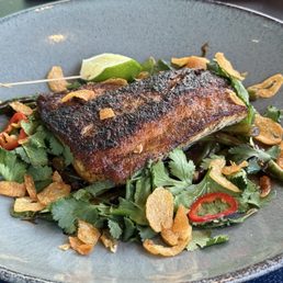 PERSEID - Updated April 2025 - 61 Photos & 20 Reviews - 4110 Loretto Dr ...