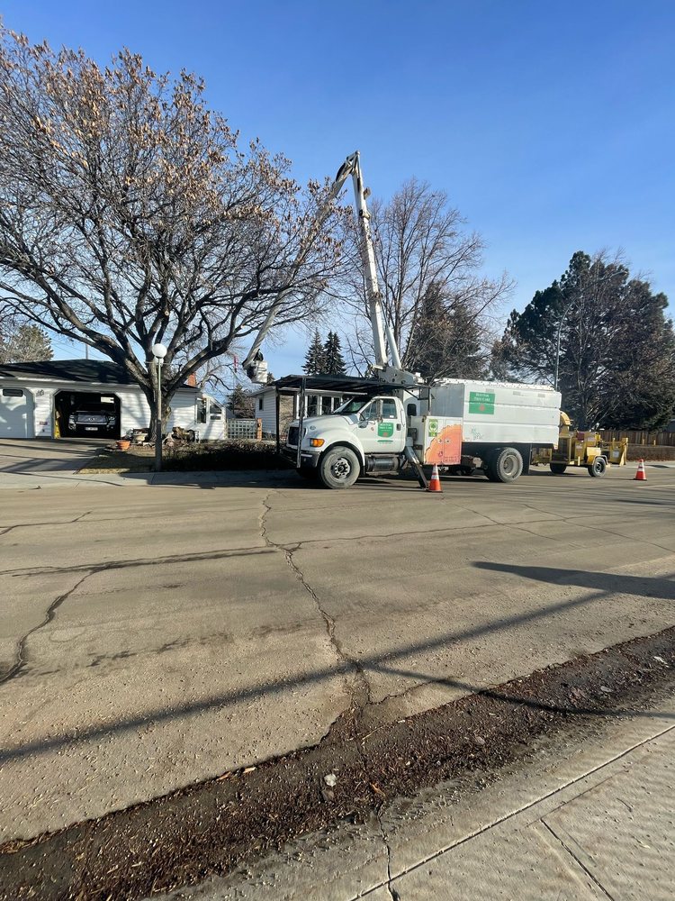 RED OAK TREE CARE - Updated January 2026 - 5874 19A Ave NW, Edmonton ...