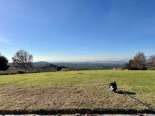 SYCAMORE HIGHLAND - Updated December 2025 - 99 Photos & 49 Reviews ...