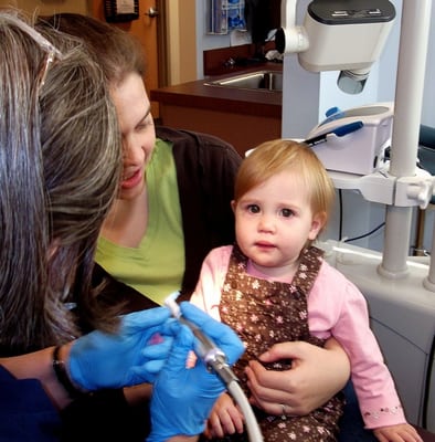 CHDC - Updated December 2025 - 10 Photos & 30 Reviews - 351 W ...