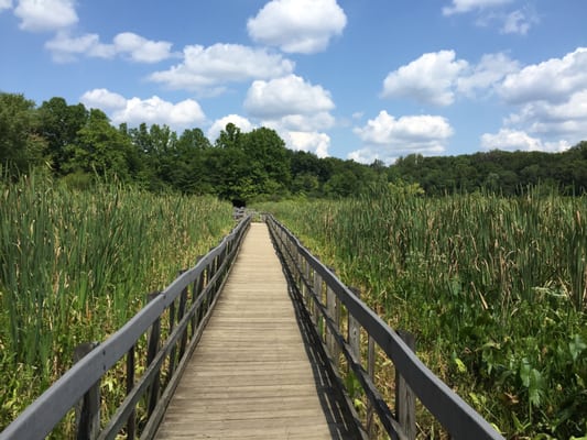 GOODYEAR HEIGHTS METRO PARK - Updated April 2024 - 15 Photos - 2077 ...