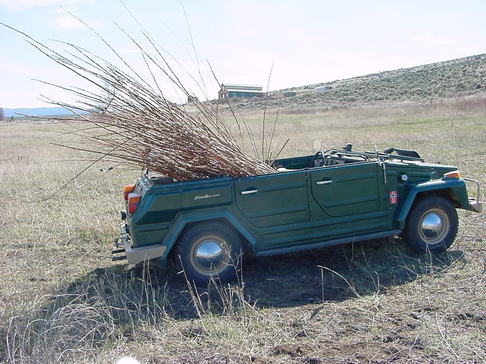 THE THING SHOP - Updated January 2026 - 11 Reviews - 4147 W Venus Way ...